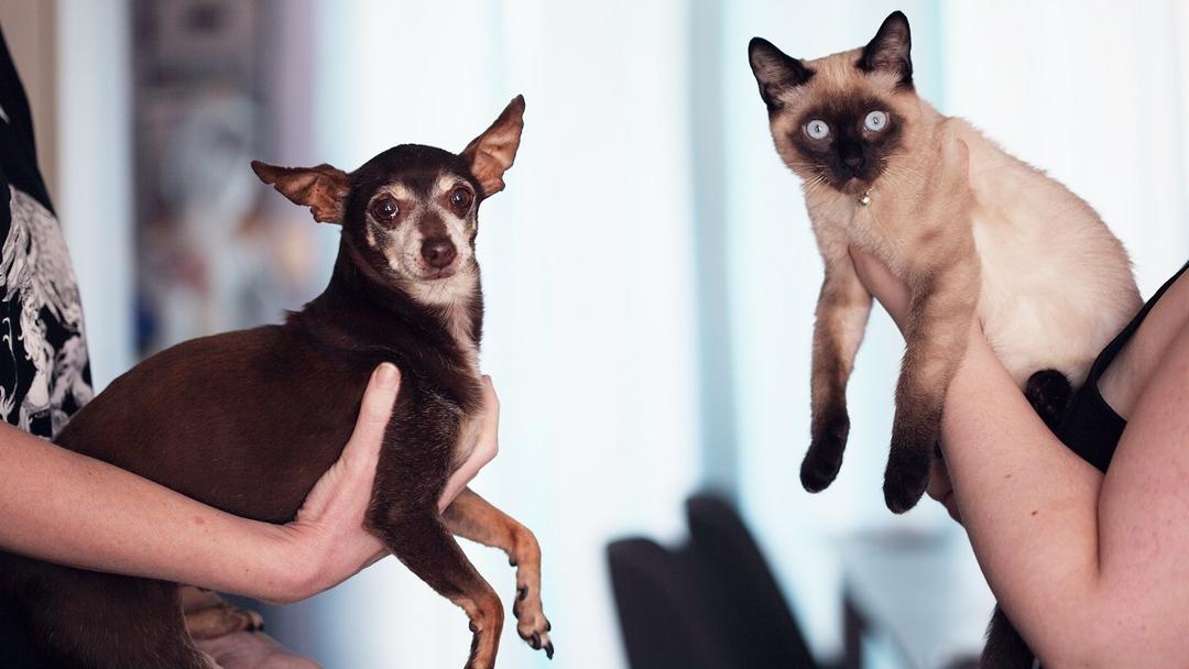 Free Catalog Figi’s Gallery 2025 Food and Gourmet Gifts Mail Order ...